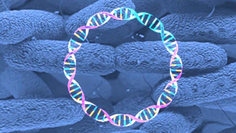 Revolutionizing Genetic Research and Health with Nanopore Whole Plasmid ...